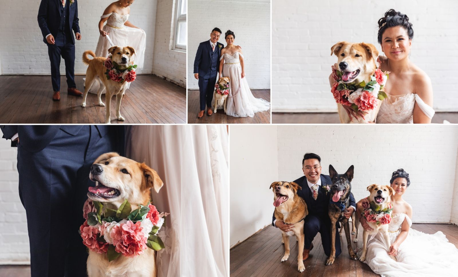 Jessica and Aaron's Covid-19 Wedding in Edmonton